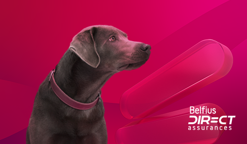 Assurance Animaux de compagnie | Belfius Direct Assurances
